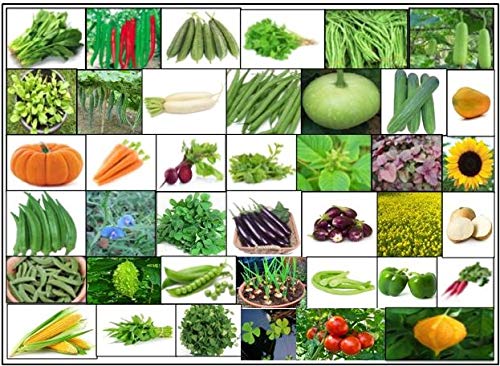 Vegetables Seed Combo pack, 40 Different Types Vegitable Seed In A Pack ...