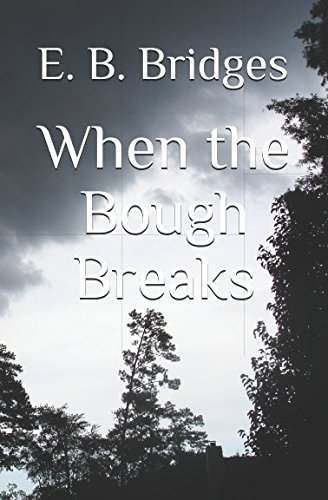 Amazon.com: When the Bough Breaks: The sequel to The Runner ...