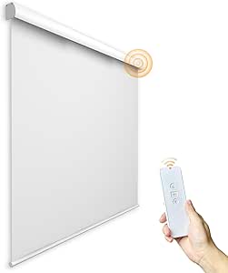 Amazon.com: FS KEEWO Roller Window Blinds Blackout Rechargeable Electric Window Shades with ...