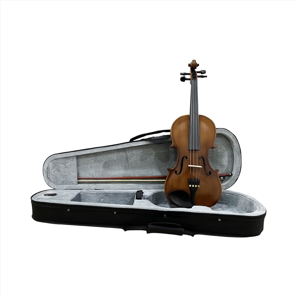 STENTOR Violin Outfit 4/4 1016A : Amazon.in: Musical Instruments