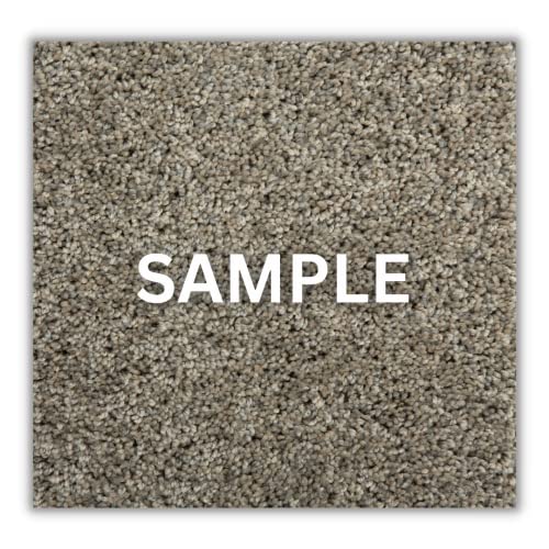 Top 10 Best Carpet Repair Kit Patch : Reviews & Buying Guide - Katynel