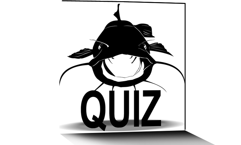 Flathead Catfish Quiz - App on Amazon Appstore