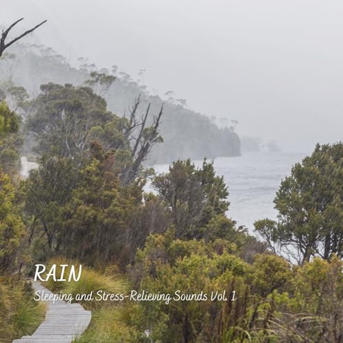 Amazon.com: Rain: Sleeping and Stress-Relieving Sounds Vol. 1 : The ...