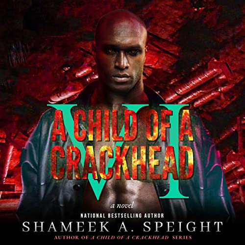 Amazon.com: A Child of a Crackhead 9: Too Sick to Fight (Audible Audio ...