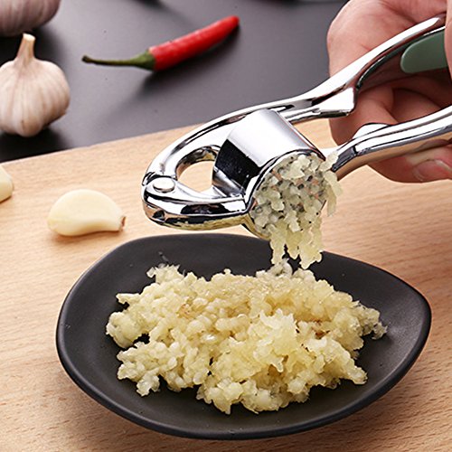 ᐅ Was ist ein Stereomikroskop?