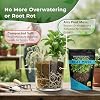 Amazon.com : Professional Peat Moss for Plants 2.2 Quarts, Organic Peat ...