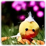 Amazon.co.jp: Christophe Riccio: books, biography, latest update