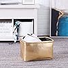 Amazon.com: Amazon Basics Storage Bins - Metallic Gold, 2-Pack : Home ...