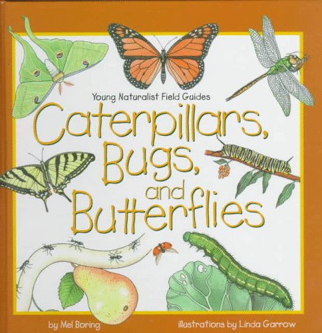 Caterpillars, Bugs, and Butterflies (Young Naturalist Field Guides ...