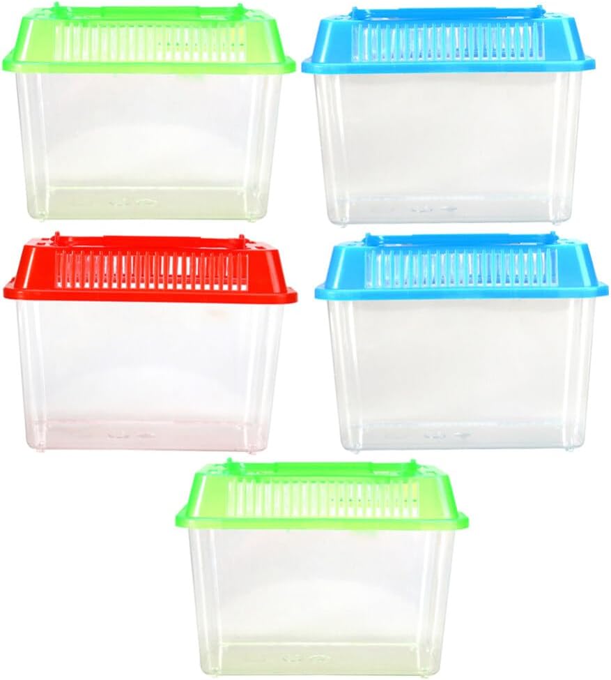 Amazon.com : PRETYZOOM 5pcs Mini Portable Fish Tank Terrarium Mini ...