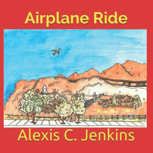 Airplane: Jenkins, Alexis C.: 9781074971236: Amazon.com: Books