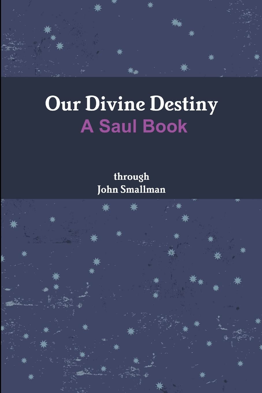 Our Divine Destiny: A Saul Book: Smallman, John: 9780557532056: Amazon ...
