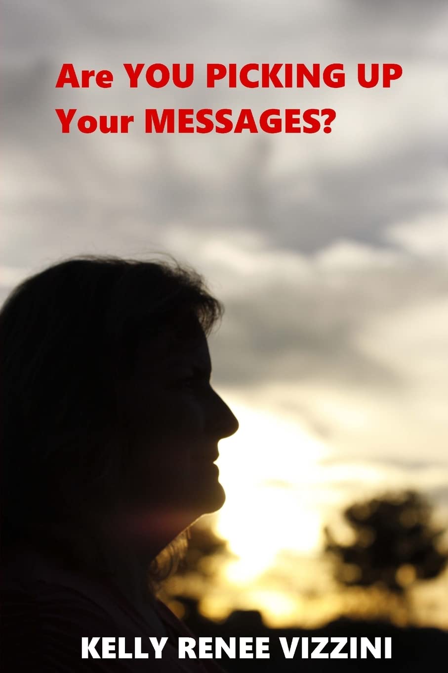 Are You Picking Up Your Messages?: Vizzini, Kelly Renee: 9781499709582 ...