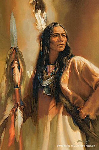 Redhawk - Native American Limited Edition Print by Russ Docken ...