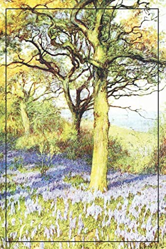 BP Journal - BP Log Book: A 6x9 inch BP tracker / Blood pressure ...