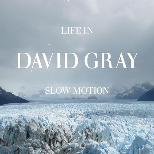 The One I Love song by David Gray from Life in Slow Motion on Amazon Music, ${countryName}