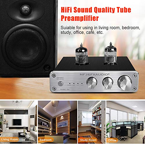 Buy FX AUDIO Tube Preamp TUBE-06 HiFi Home Audio Stereo HiFi 6N3 Vacuum ...