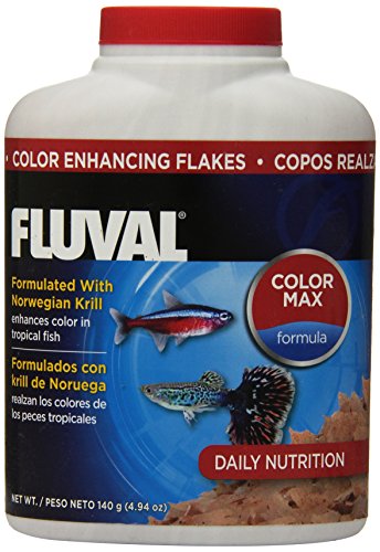 Best Color Enhancing Fish Food - Born For Pets