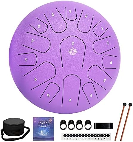 Amazon.com: Rain Drum for Outside Garden,Steel Tongue Drum 12 Inches 15 ...