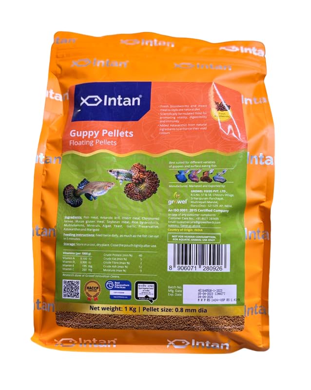 Aquatic Intan Guppy Pellet Fish Food | Floating Pellet for Health and ...