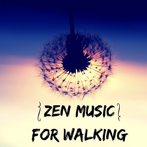 Zen Music for Walking - Relaxed Pace Songs by White Noise Masters on ...
