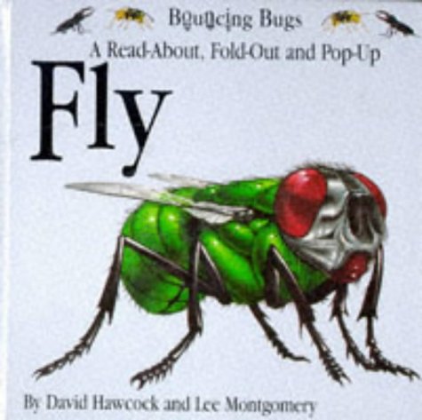 Bouncing Bugs: Fly (Bouncing Bugs): Hawcock, D.: 9781857070866: Books ...