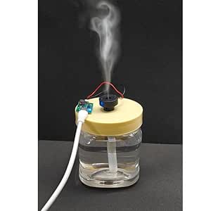 ERH India DIY Ultrasonic Mist Maker Fogger Humidifier Kit with 200ml ...