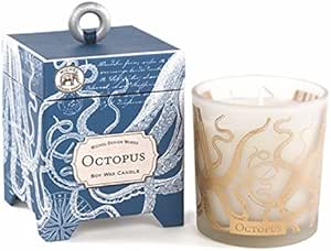 Amazon.com: Michel Design Works Gift Boxed Soy Wax Candle, 6.5-Ounce ...