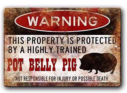 Cooltin Pot Belly Pig Sign,Funny Metal Signs,Pot Bellied Pig,Pot Belly ...