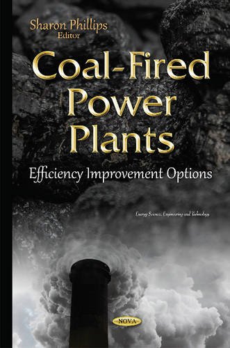 Coal-Fired Power Plants: Efficiency Improvement Options (Energy Science ...