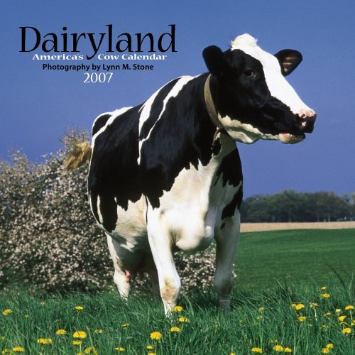Dairyland 2007 Calendar: America's Cow Calendar : Browntrout Publishers ...
