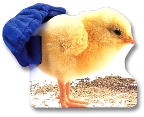 Stroller Board Book: Chick (Stroller Books): DK: 9780789484550: Amazon ...