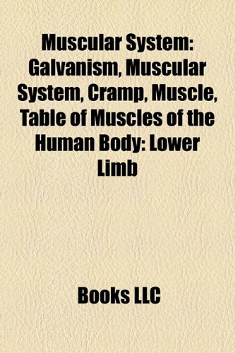 Muscular system: Galvanism, Cramp, List of muscles of the human body ...
