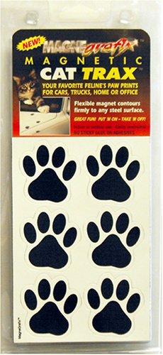 Magnegrafix Magnetic Cat Trax Decals, Pack of 6 : Amazon.in: Car ...