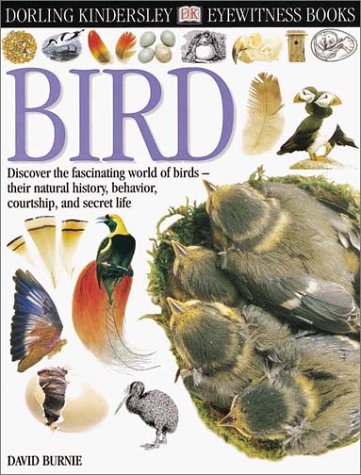 Eyewitness: Bird: Burnie, David: 9780789458001: Amazon.com: Books