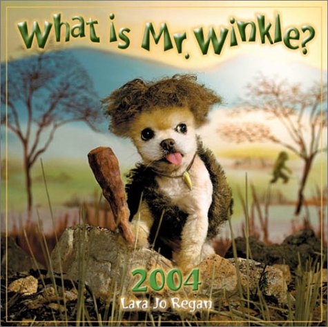 What Is Mr. Winkle? 2004 Calendar: Regan, Lara Jo: 9780761128519: Books ...