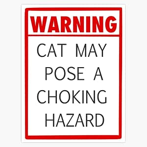 Amazon.com: Cat Warning Sign Vinyl Sticker Waterproof Bumper Sticker ...