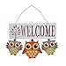Amazon.com: New Designed Wood Owls Welcome Sign (White) : Home & Kitchen