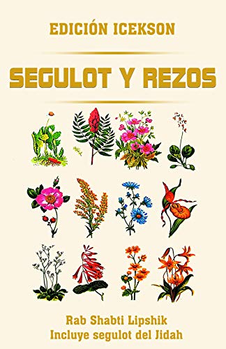 Amazon.com: Segulot Israel (Spanish Edition) eBook : Azulai, Rab Yosef ...