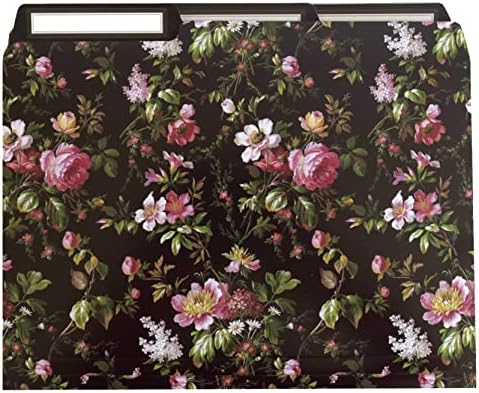 Amazon.com : Kate Spade New York Organizer Thick File Folders Pack of 6 ...