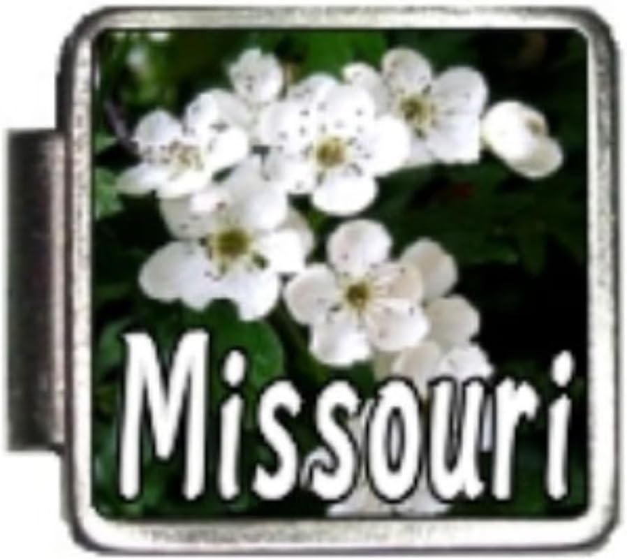 Amazon.com: Clearly Charming Missouri State Flower Hawthorn Photo ...
