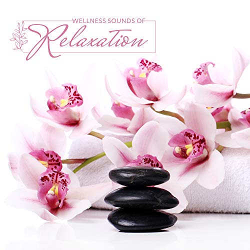 Play Wellness Sounds of Relaxation: 2020 Spa & Wellness Music Best Mix ...
