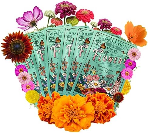 Amazon.com : S-pone 100+ Rare Mix Dahlia Pompon Flower Seeds Variabilis ...