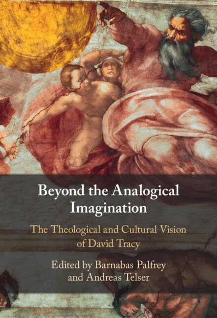 Amazon.com: Beyond the Analogical Imagination: The Theological and ...