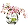 Amazon.com: CYS EXCEL Glass Moon Vase Oval Bowl (H:10.25" L:11 ...