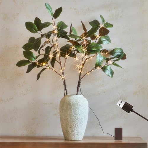 Amazon.com: BAOLITVINE Lighted Magnolia Branches with Timer Battery ...