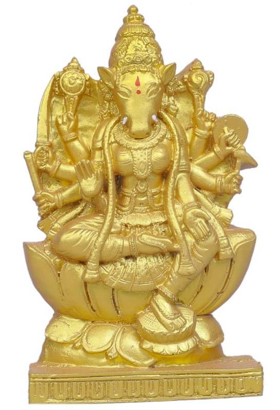 Buy AA NM & Sons Varahi Idol/Goddess Varahi Maa/Varahi Amman Statue 17 ...
