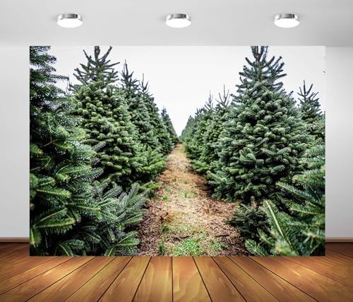 Amazon.com : BELECO 7x5ft Fabric Christmas Tree Farm Backdrop Green Fir ...