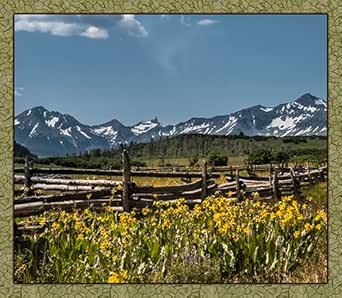 Amazon.com: Last Dollar Road Fabric Panel - SCO-003, Size is 23” X 20 ...