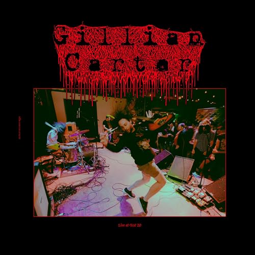 Amazon.co.jp: Live at Fest 20 : Gillian Carter: デジタルミュージック